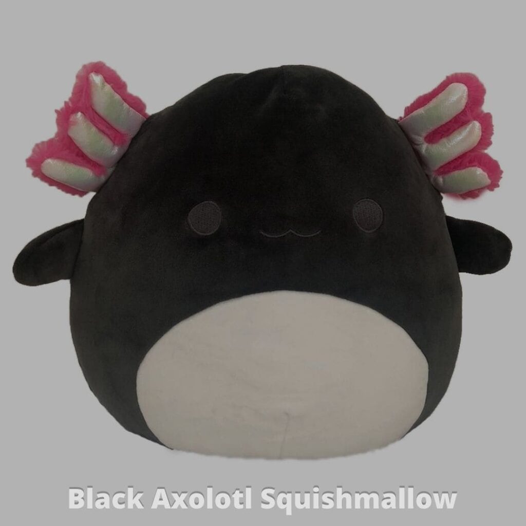 Axolotl Squishmallow: The Ultimate Guide 2025 | The Love List