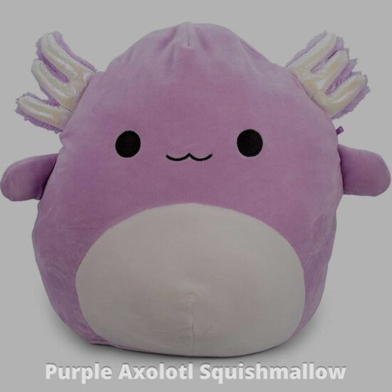 Axolotl Squishmallow: The Ultimate Guide 2025 | The Love List